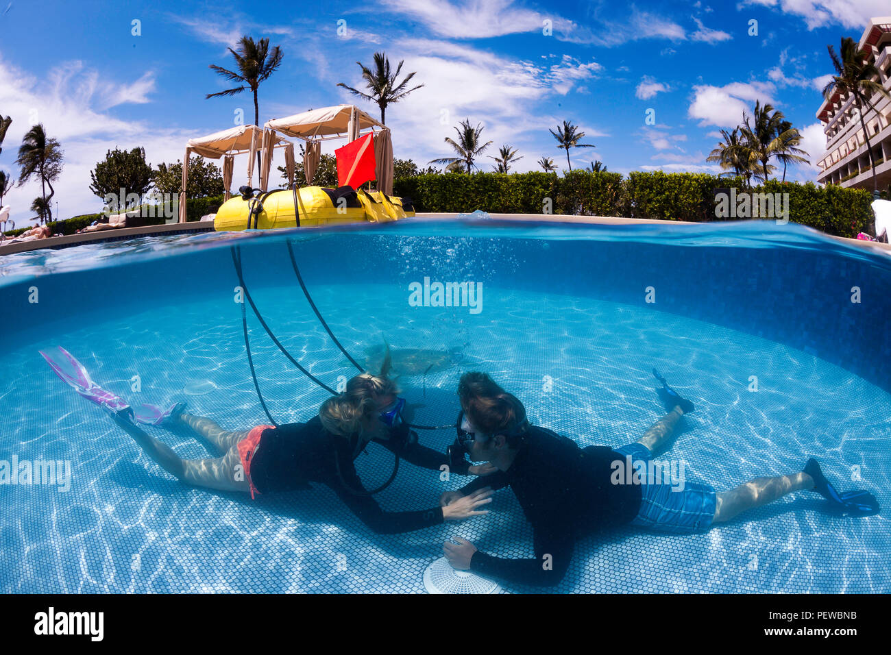 Women diving into a swimming pool hi-res stock photography and images ...