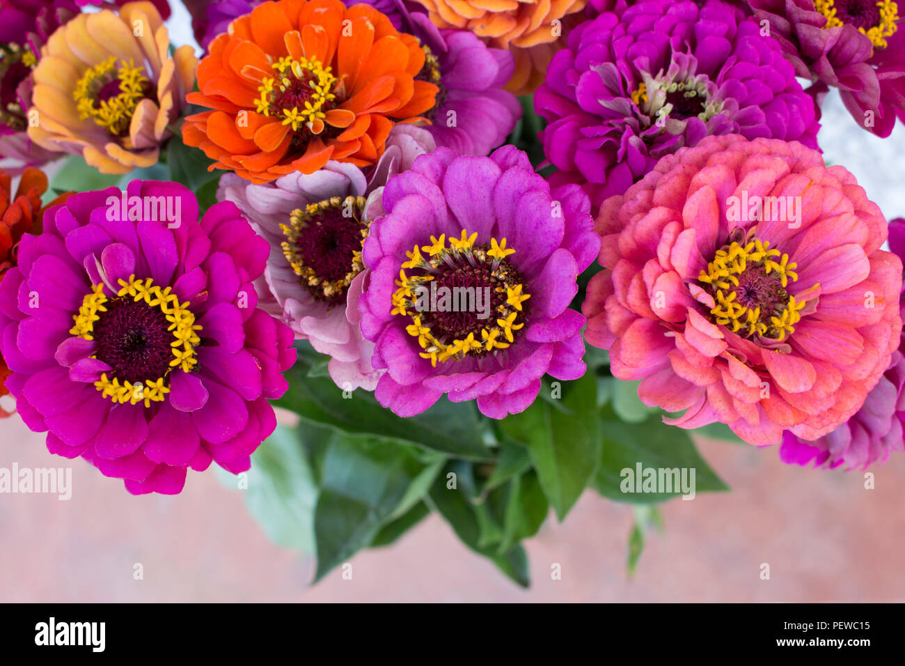 Zinnia bouquet hi-res stock photography and images - Alamy