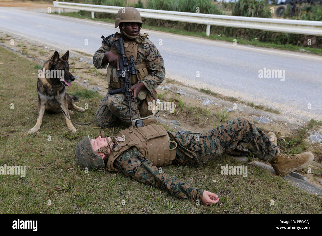 U.S. Marine Corps Lance Cpl. Chad-Tyler Migkins, center, a K-9 handler ...