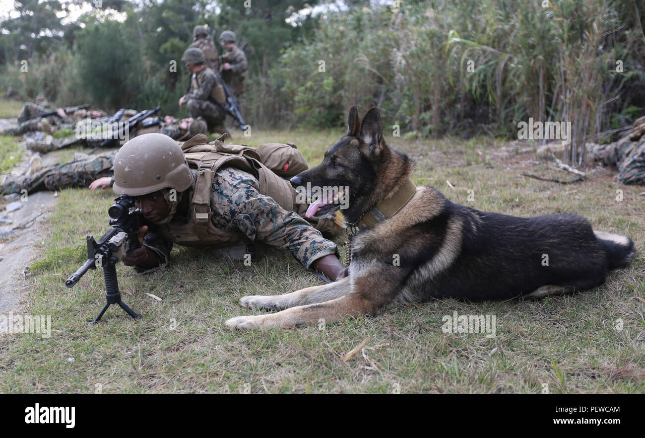 U.S. Marine Corps Lance Cpl. Chad-Tyler Migkins, center, a K-9 handler ...
