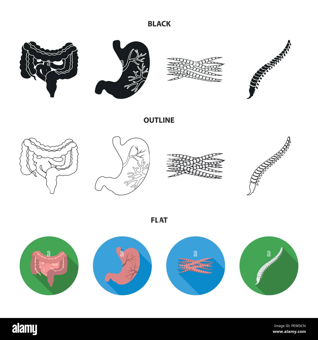 Intestines, stomach, muscles, spine. Organs set collection icons in ...