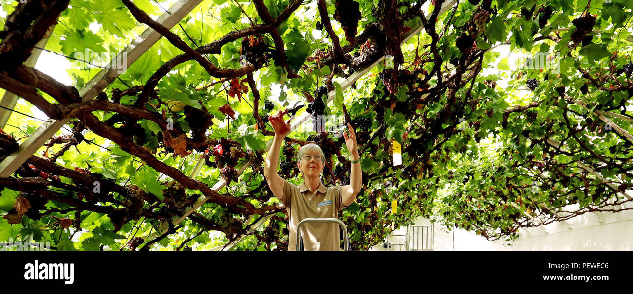 Gillian strudwick keeper great hi-res stock photography and images - Alamy