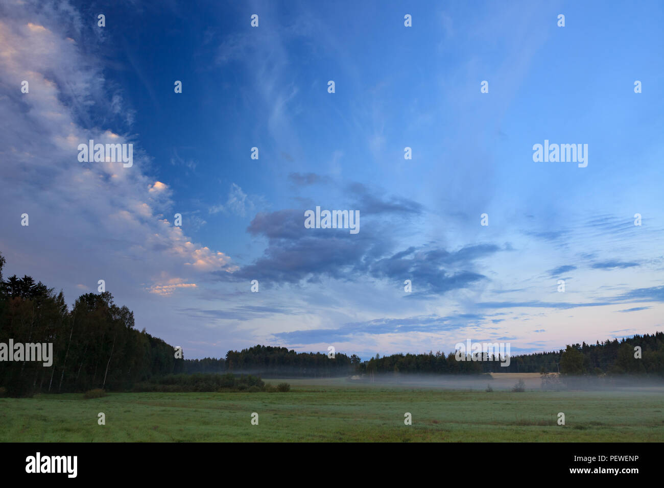 Summer morning at countryside field in Finland Stock Photo - Alamy