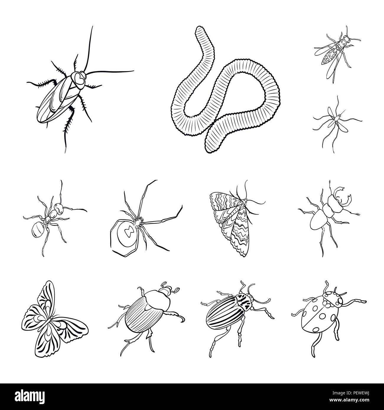 Different kinds of insects outline icons in set collection for design ...