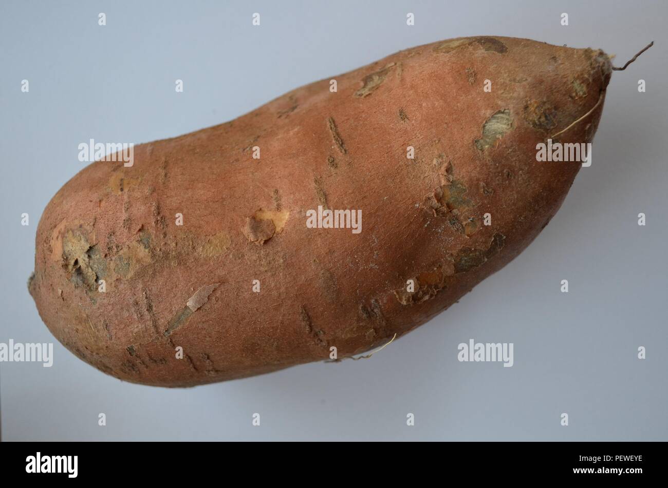 Isolated light-brown big sweet potato Stock Photo - Alamy