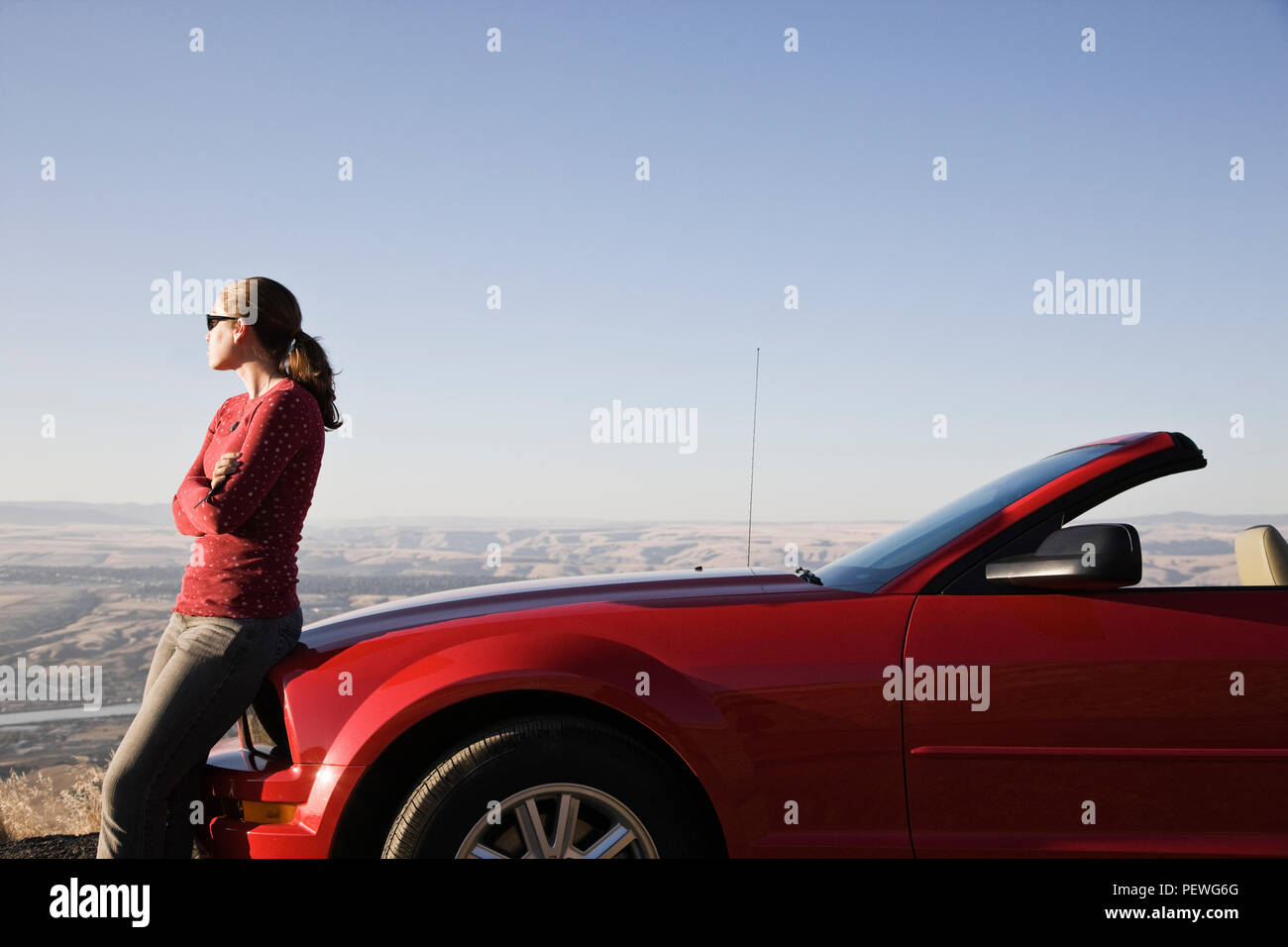 2008 ford mustang hi-res stock photography and images - Alamy