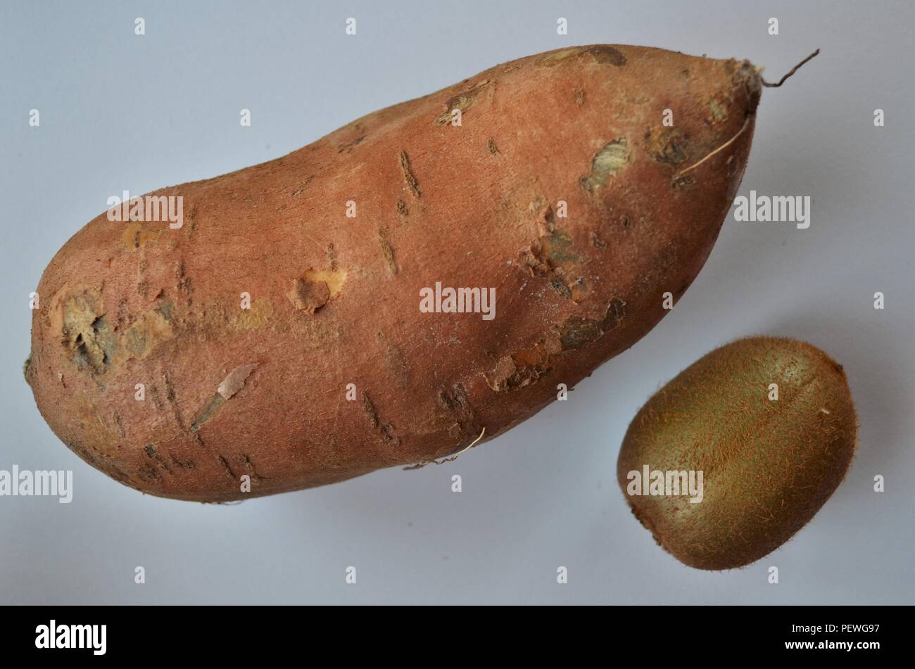 Big sweet potato in comparison with a small kiwi isolated Stock Photo ...