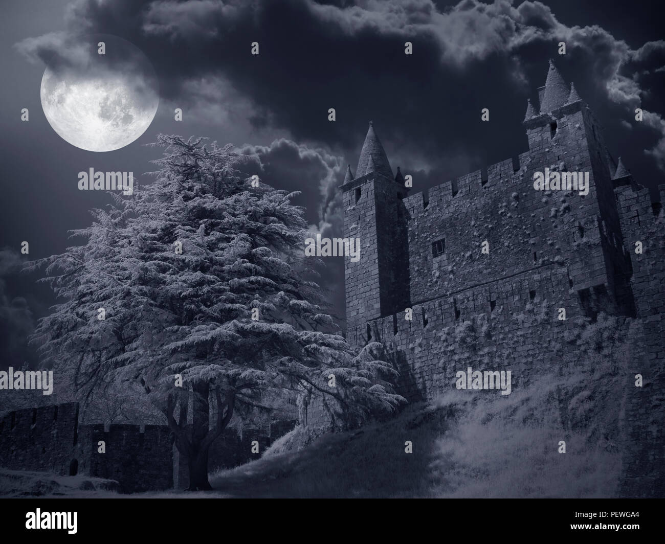 Castle Fantasy Forest Night High Resolution Stock Photography and ...