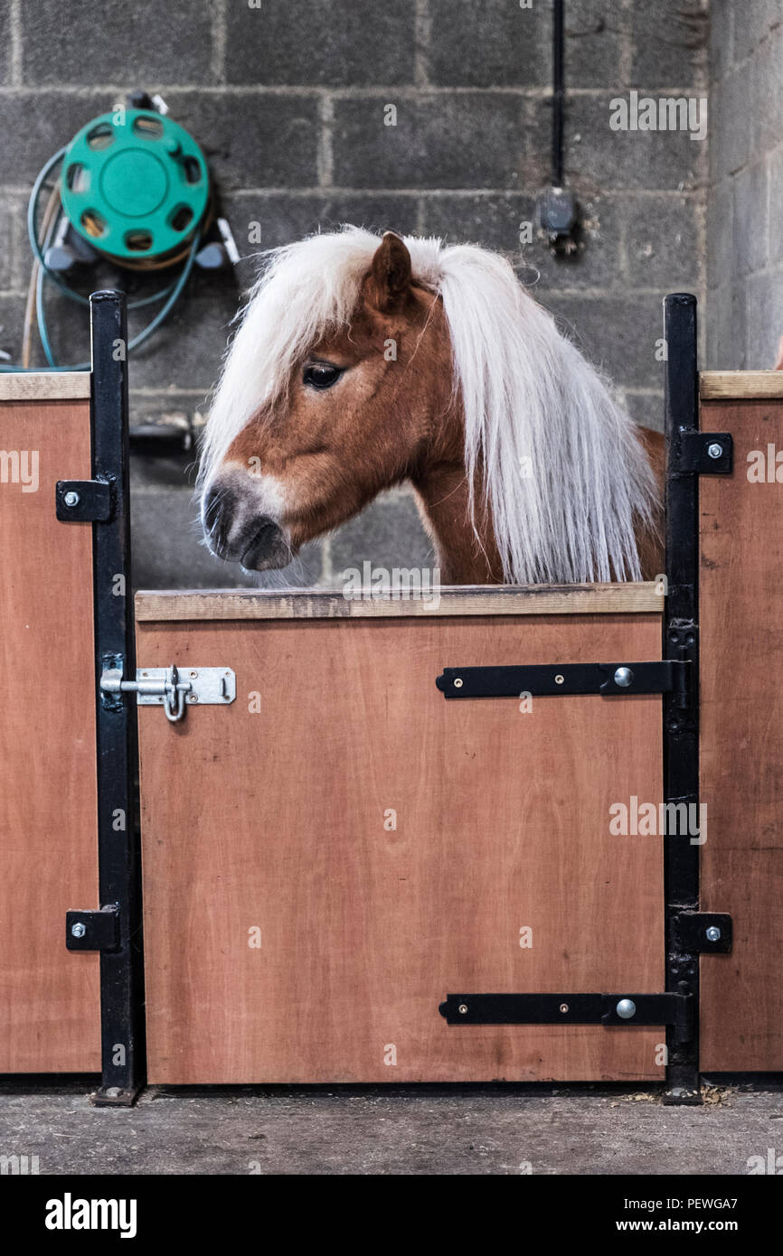 Long stables hi-res stock photography and images - Alamy