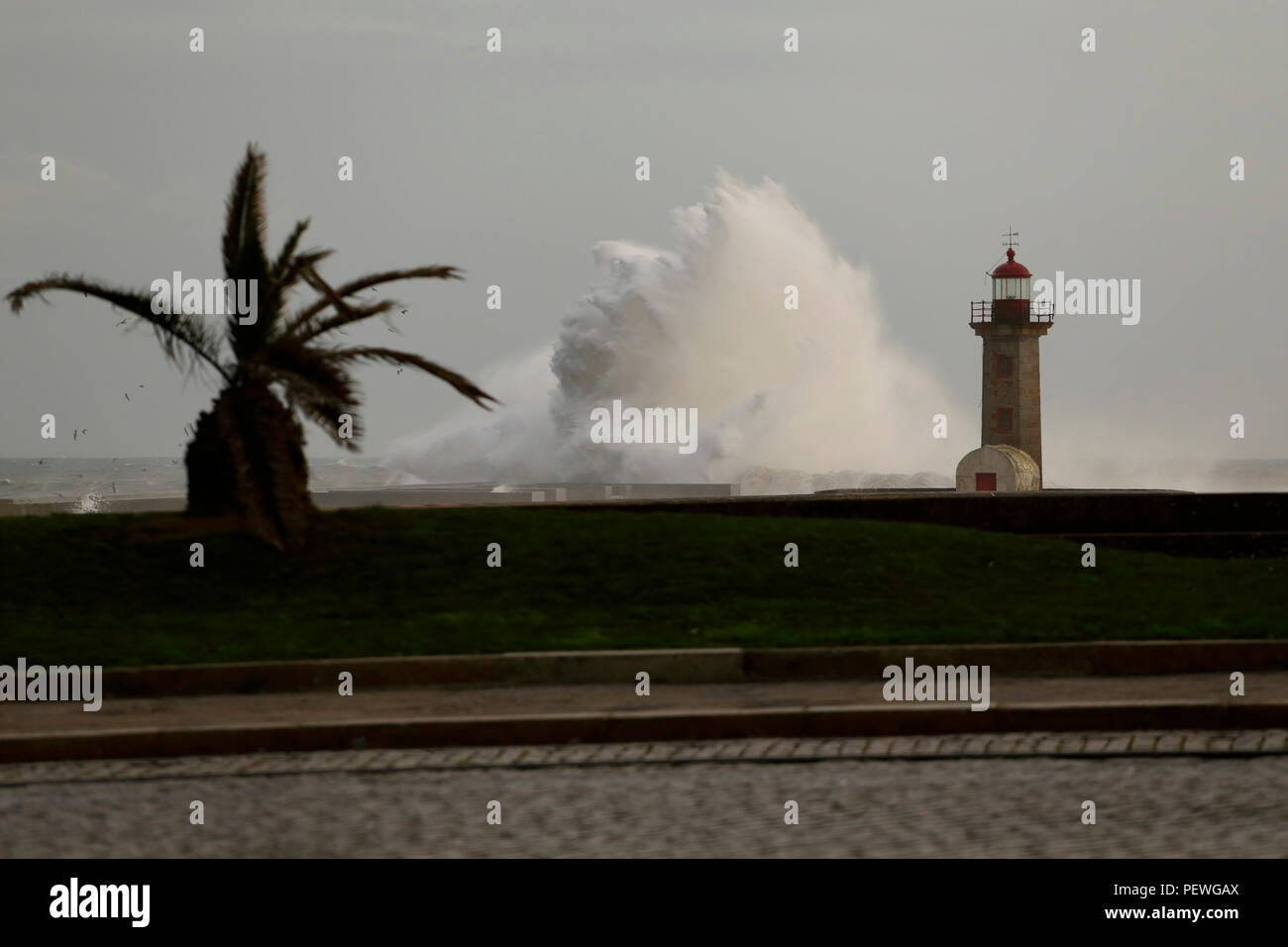 Rain, wind and hurricane waves at sea hi-res stock photography and ...