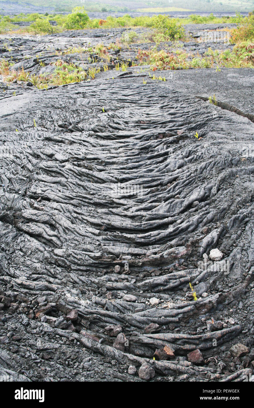 Pahoehoe Lava flow, Kilauea Volcano, Big Island, Hawaii, USA Stock ...