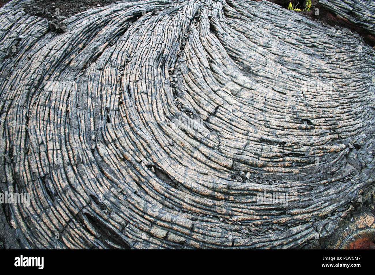 Pahoehoe Lava flow, Kilauea Volcano, Big Island, Hawaii, USA Stock ...