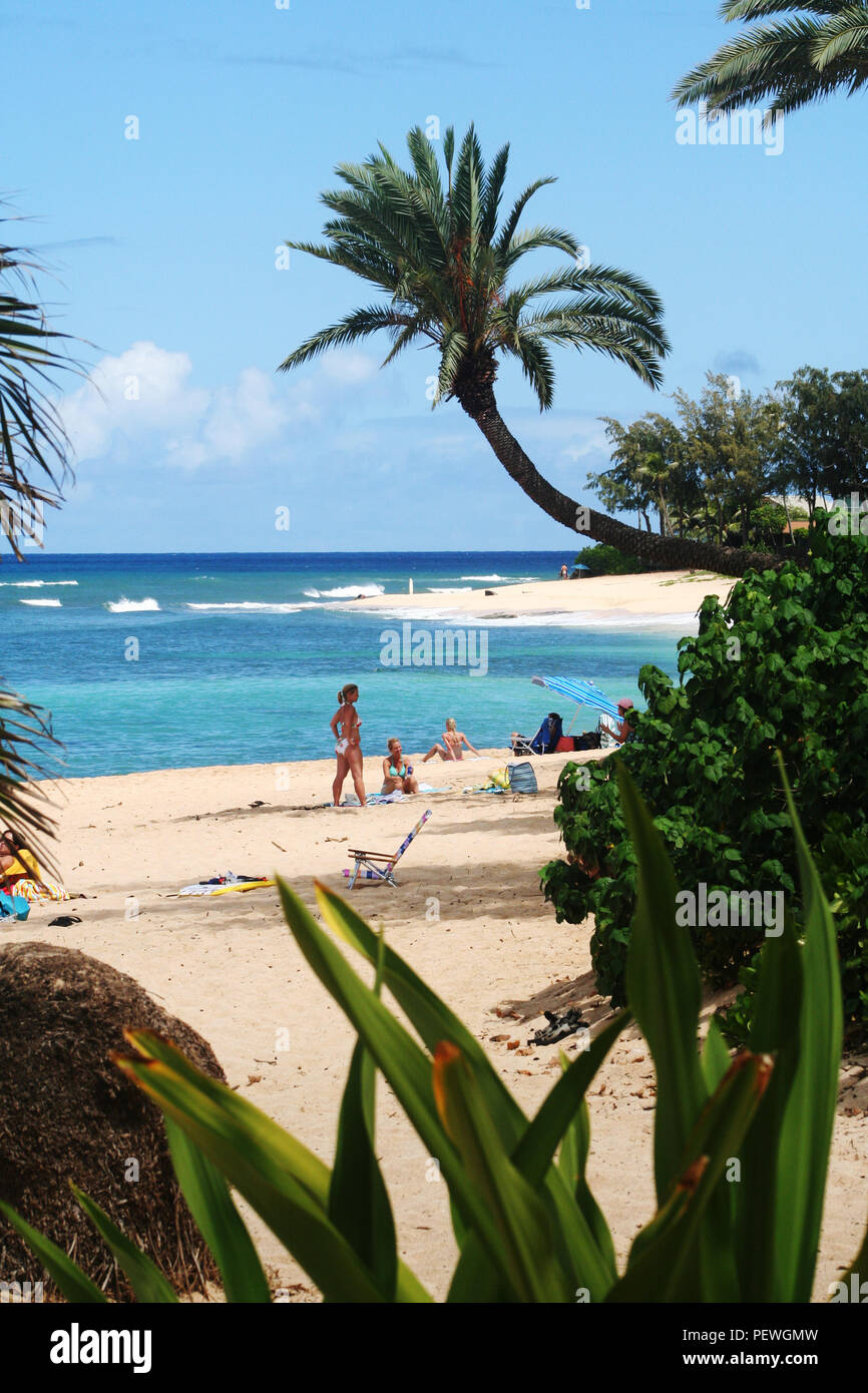 North shore oahu hi-res stock photography and images - Alamy