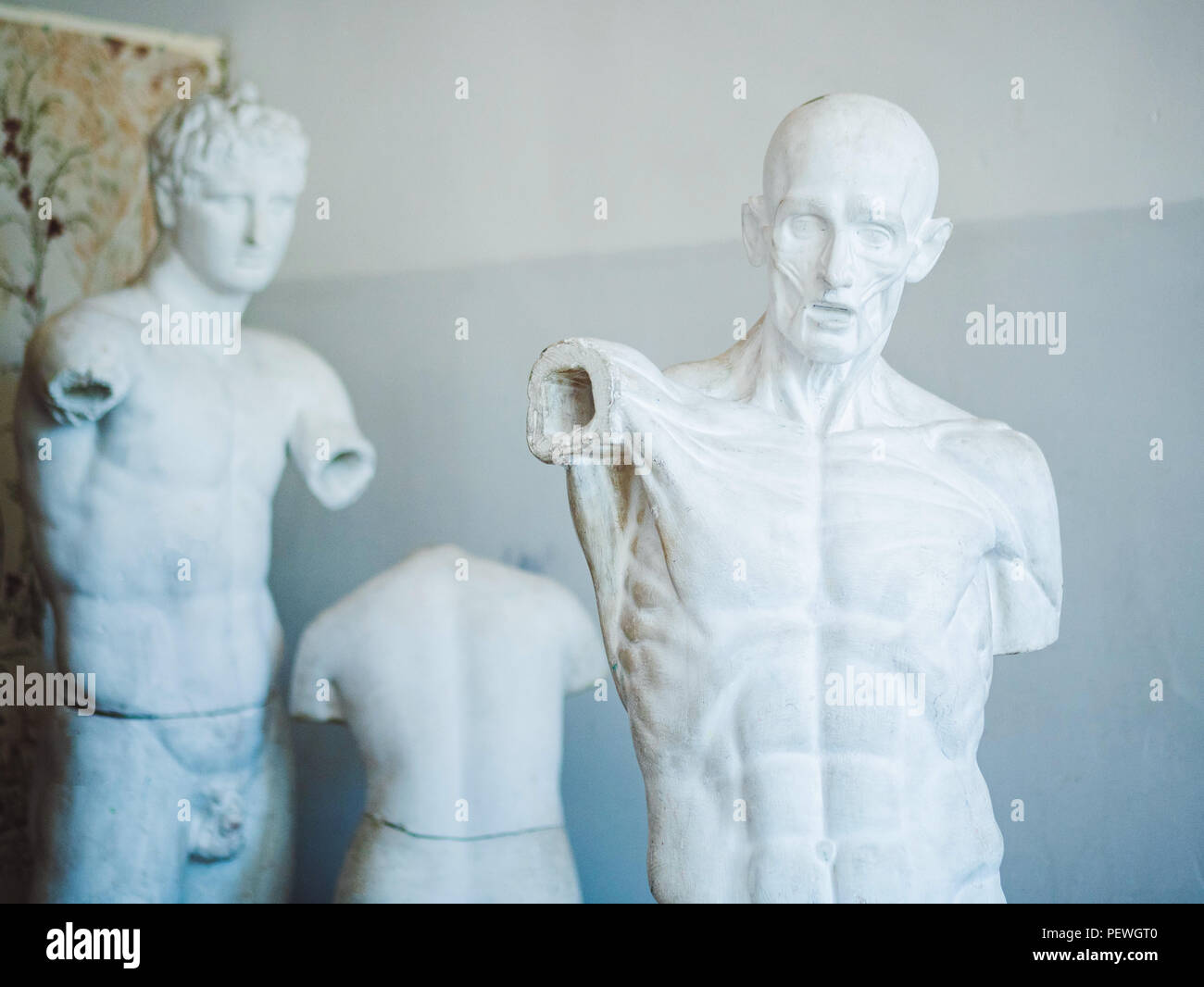 plaster statue of a human, artist studio. students studying how to draw ...