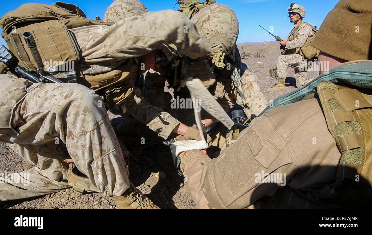 Trap with fly i hi-res stock photography and images - Alamy