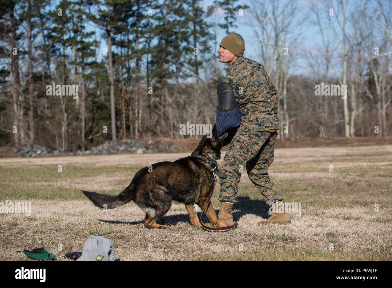 Proper camera handling hi-res stock photography and images - Alamy