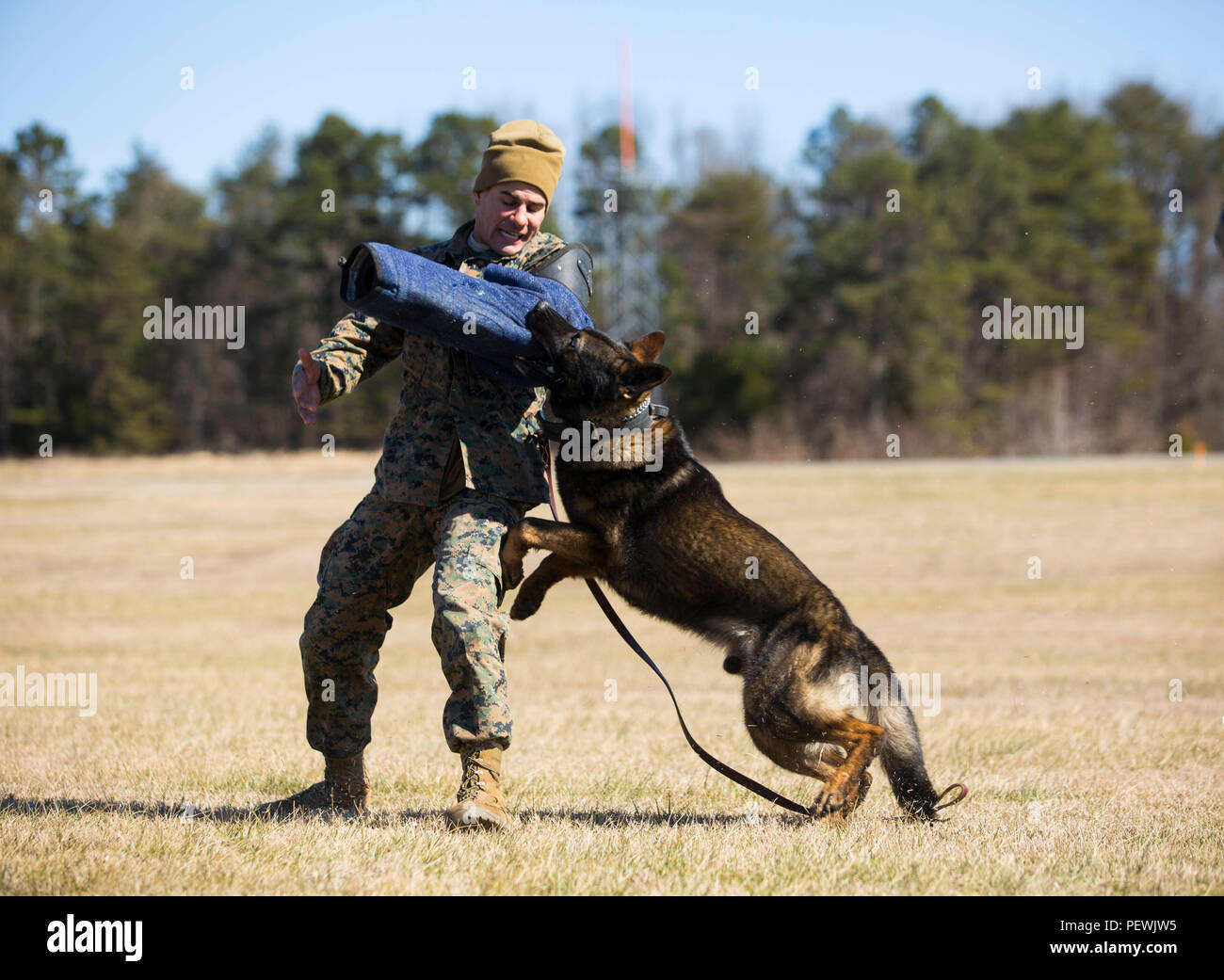 U.S. Marine Cpl. Reyes with 2nd Law Enforcement Battalion, 22nd Marine ...