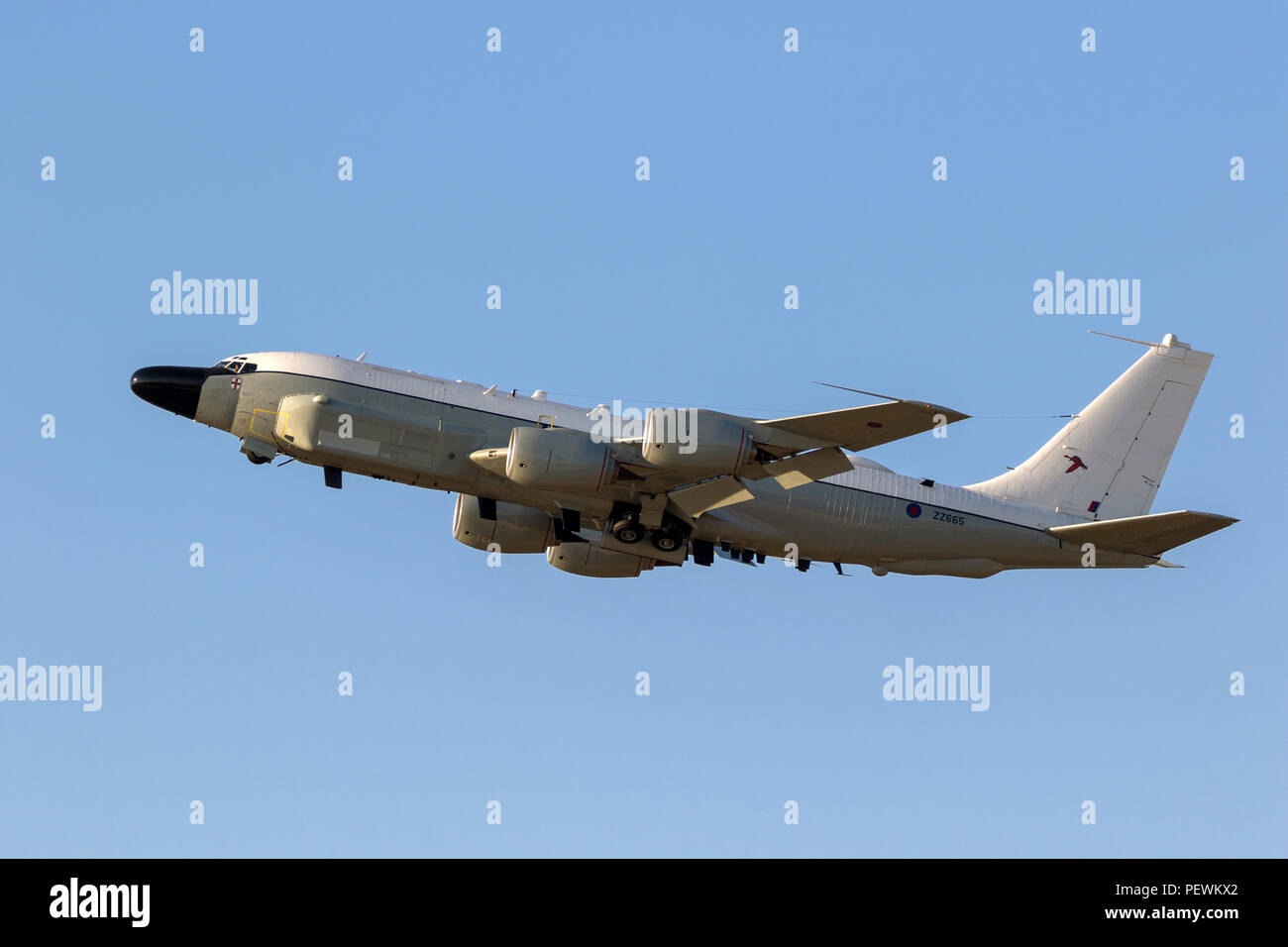 Rivet joint hi-res stock photography and images - Alamy