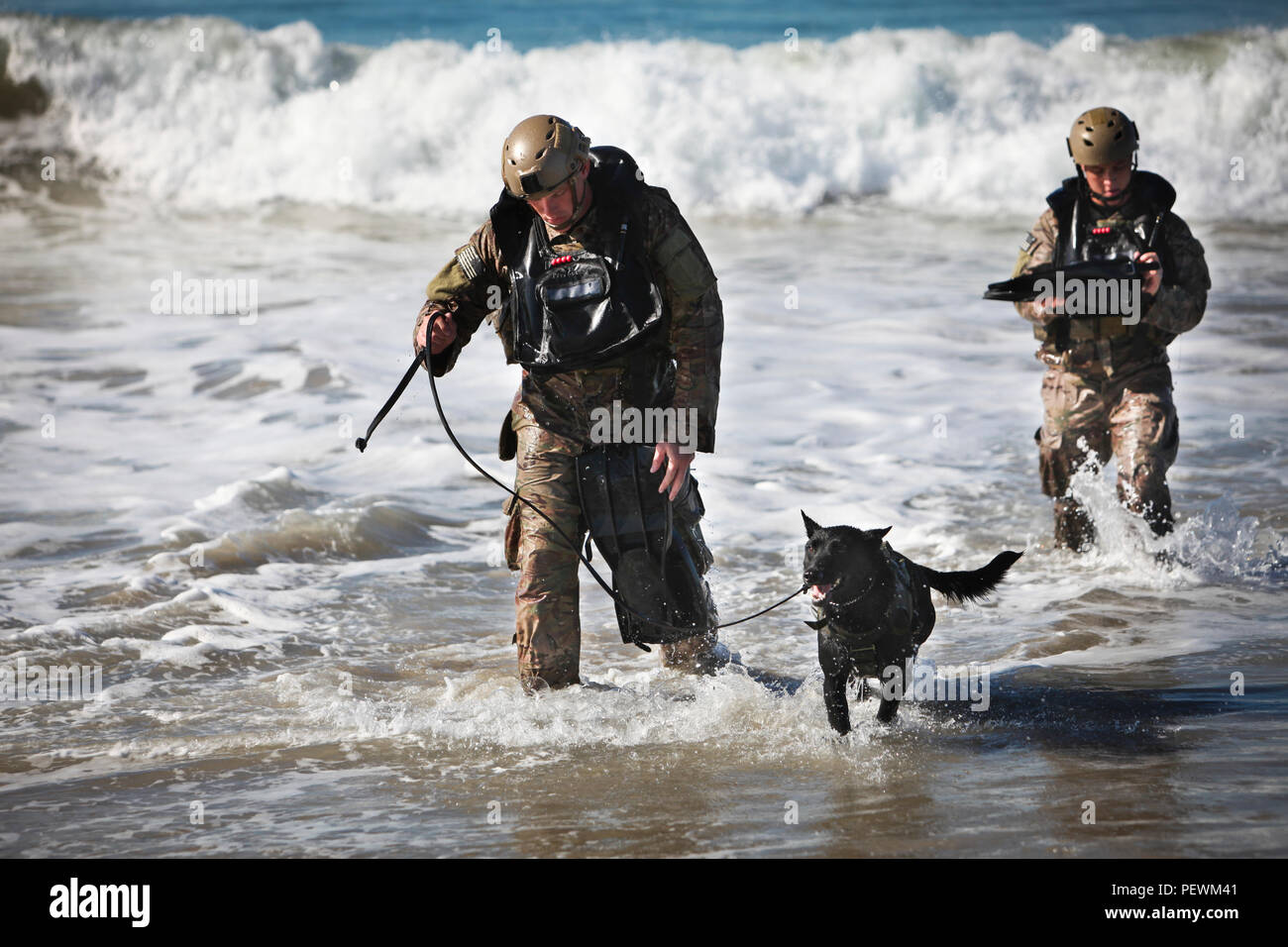 A Multi-Purpose Canine (MPC) handler with U.S. Army Special Forces ...