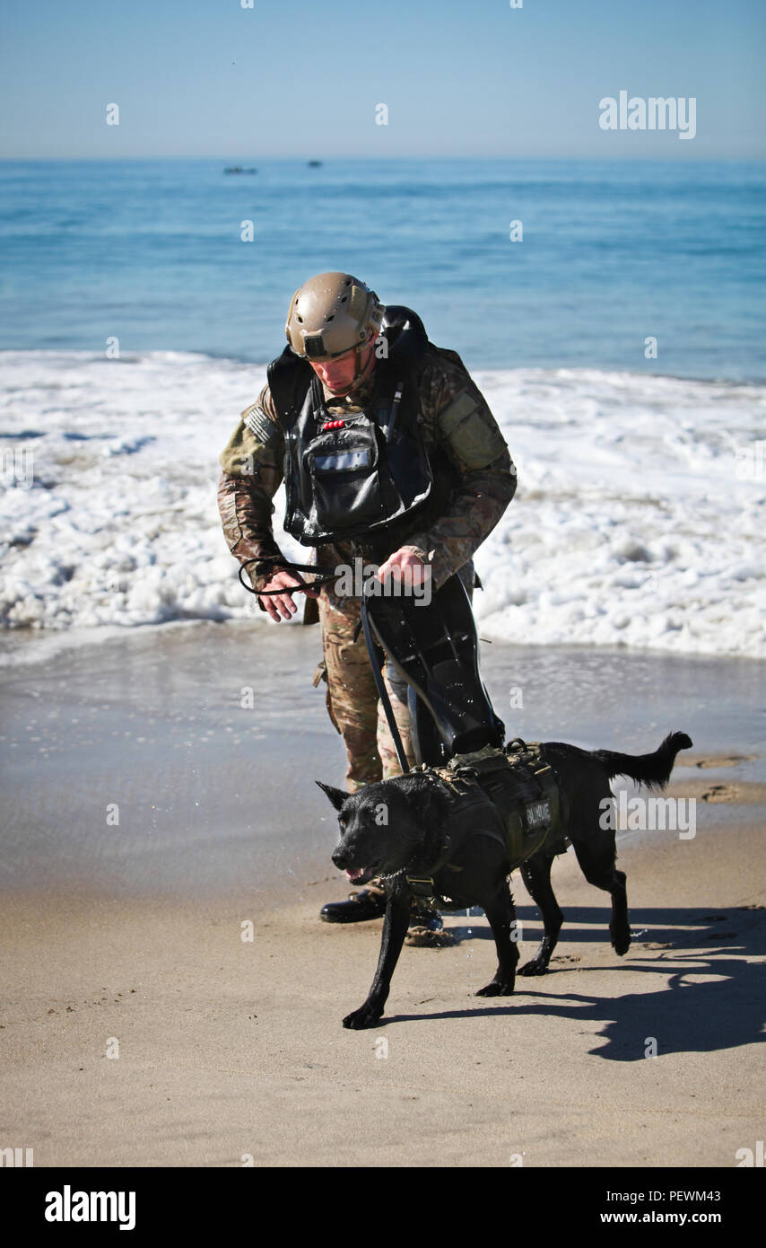 A Multi-Purpose Canine (MPC) handler with U.S. Army Special Forces ...