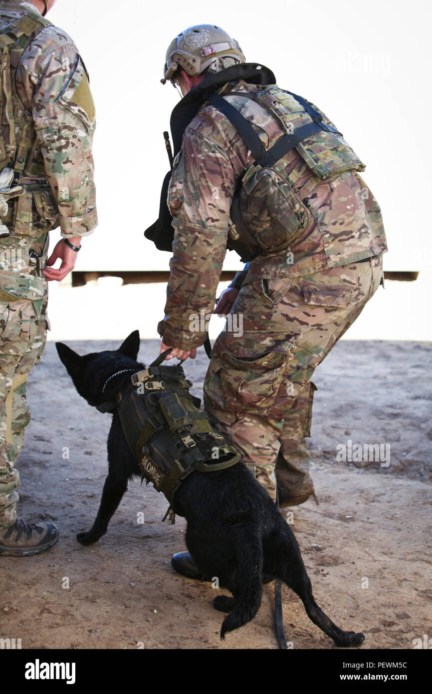 A Multi-Purpose Canine (MPC) handler with U.S. Army Special Forces ...