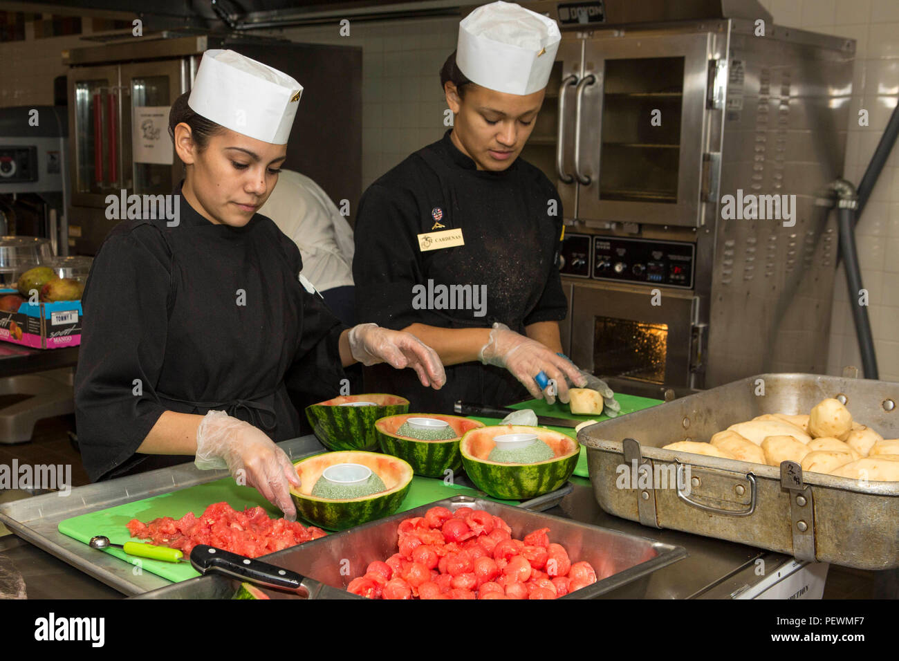 Alexa chow hi-res stock photography and images - Alamy