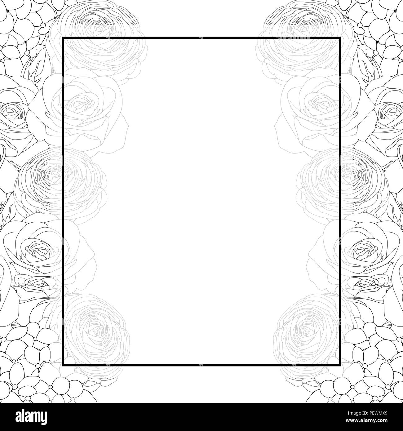 Rose, Hydrangea and Ranunculus Outline Banner Card Border. isolated on ...