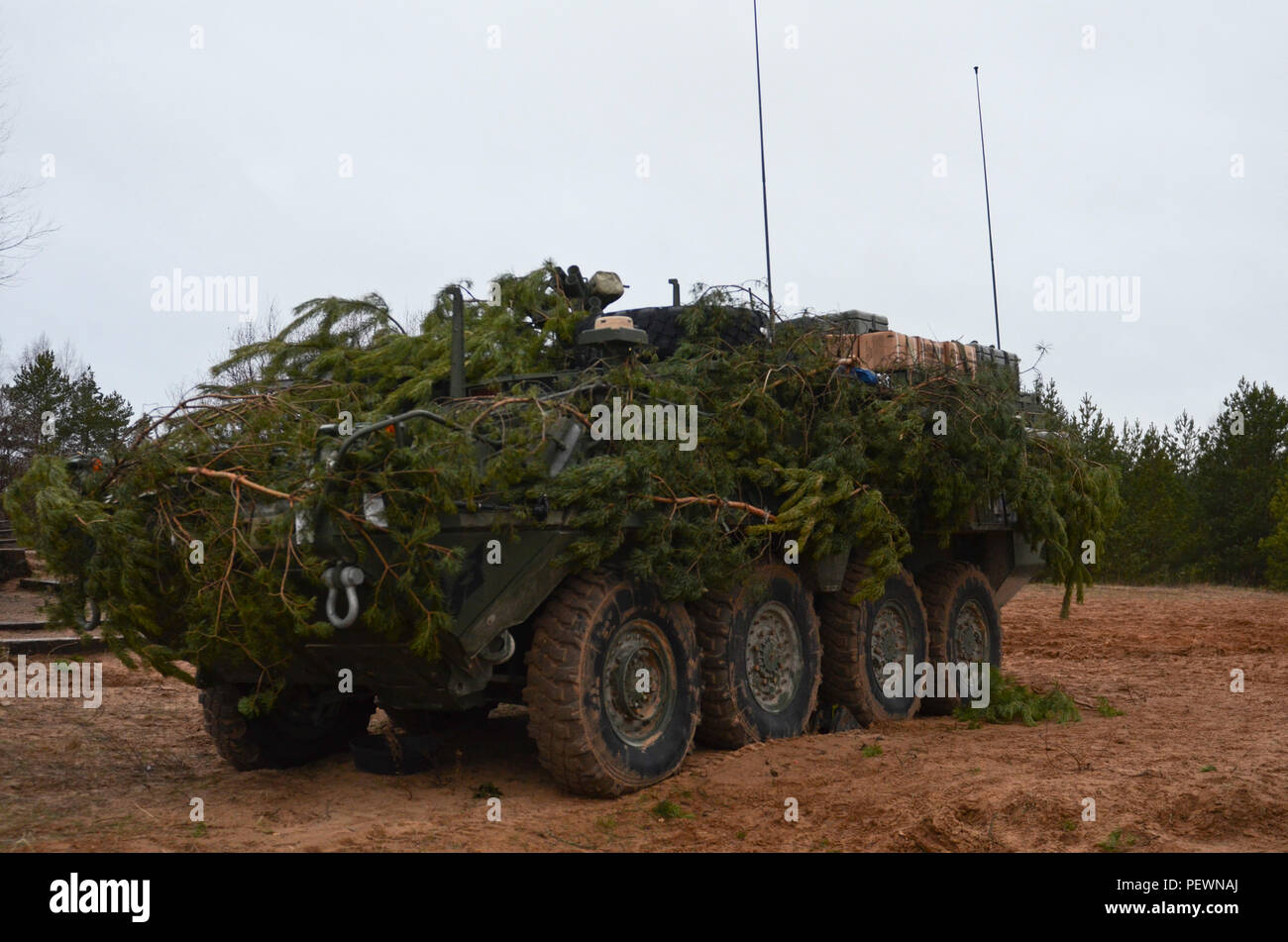 M1129 mortar carrier hi-res stock photography and images - Alamy