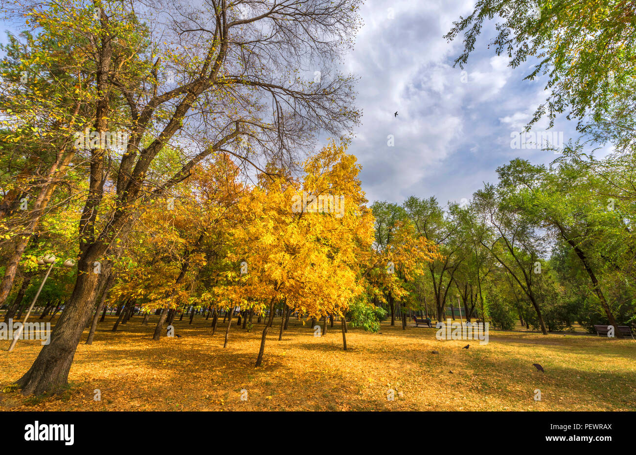 Autumn in the city hi-res stock photography and images - Alamy
