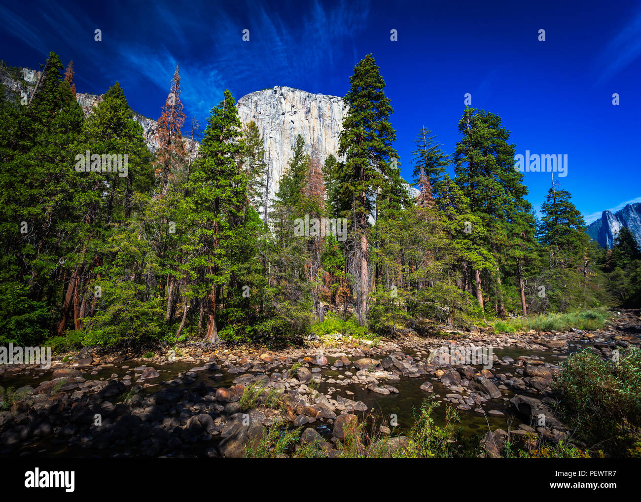 Visit yosemite hi-res stock photography and images - Alamy