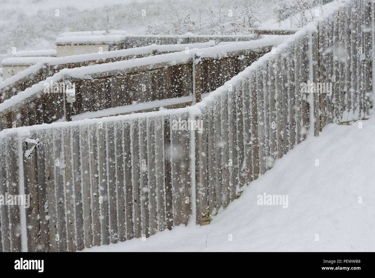 Snow-covered fences during a late winter snowfall Stock Photo - Alamy