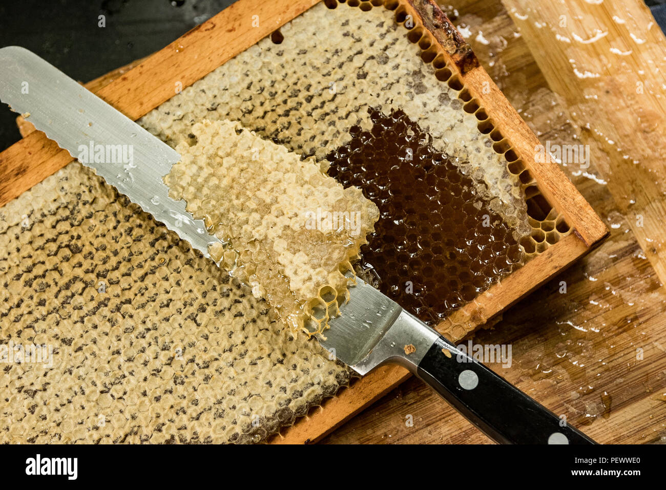 harvesting honey at home Stock Photo - Alamy