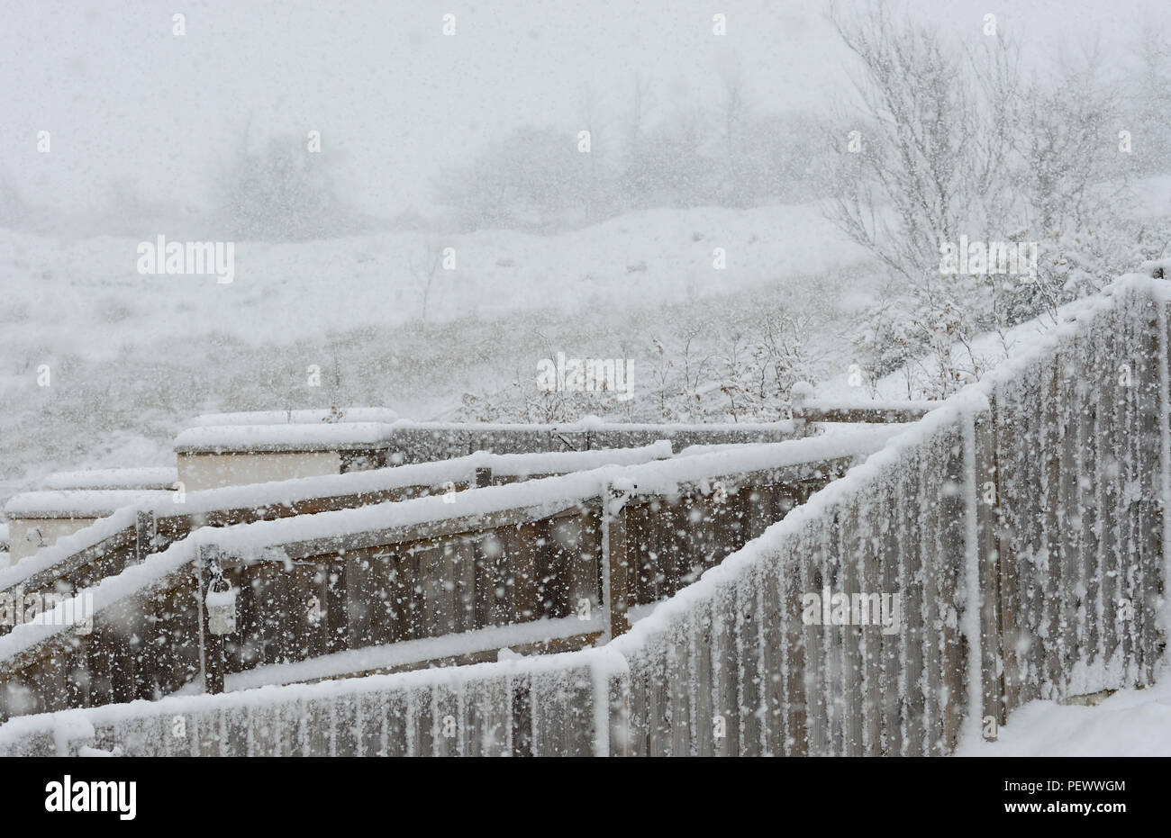 Snow-covered fences during a late winter snowfall Stock Photo - Alamy