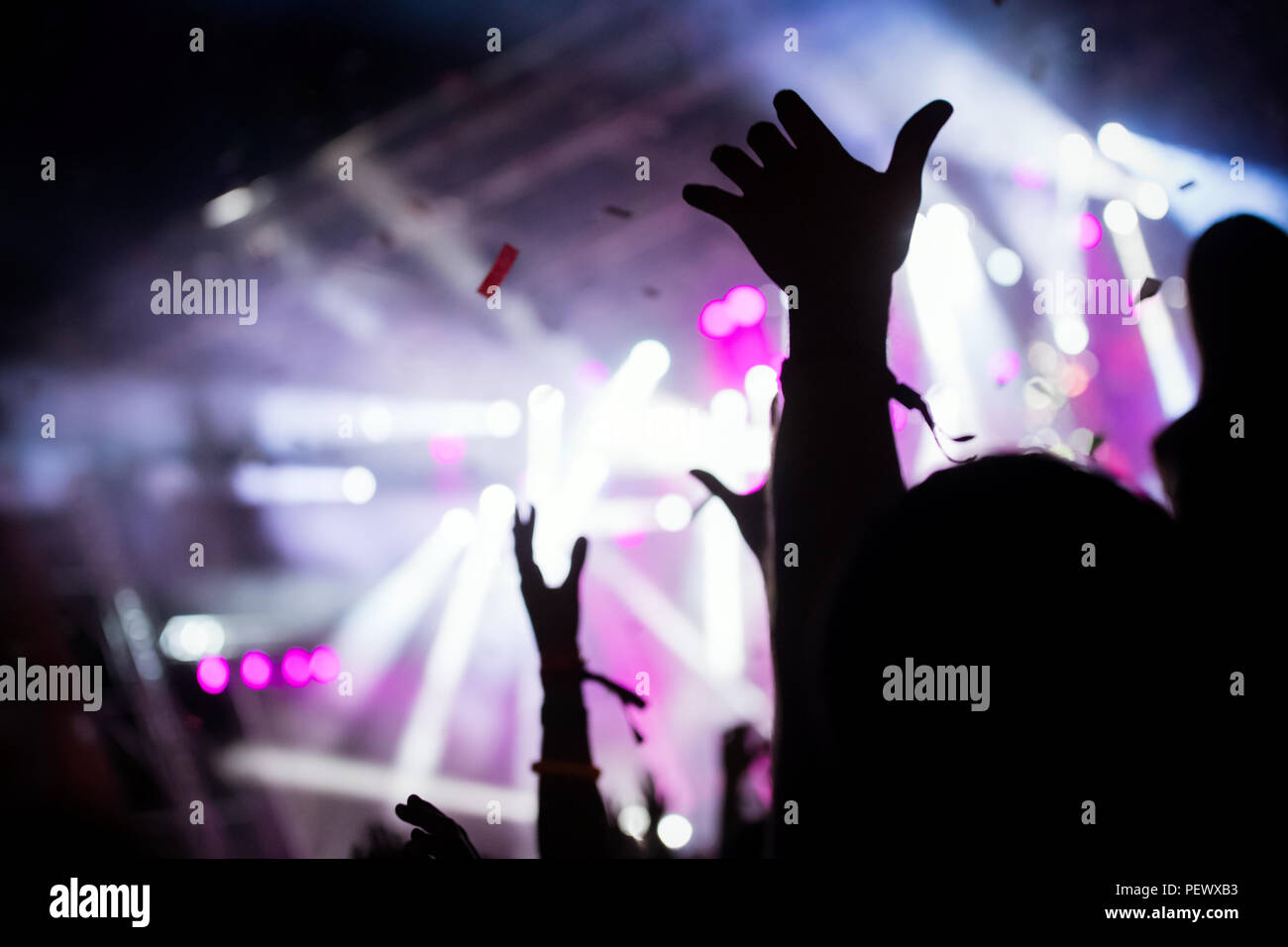 Picture of party people at music festival Stock Photo - Alamy