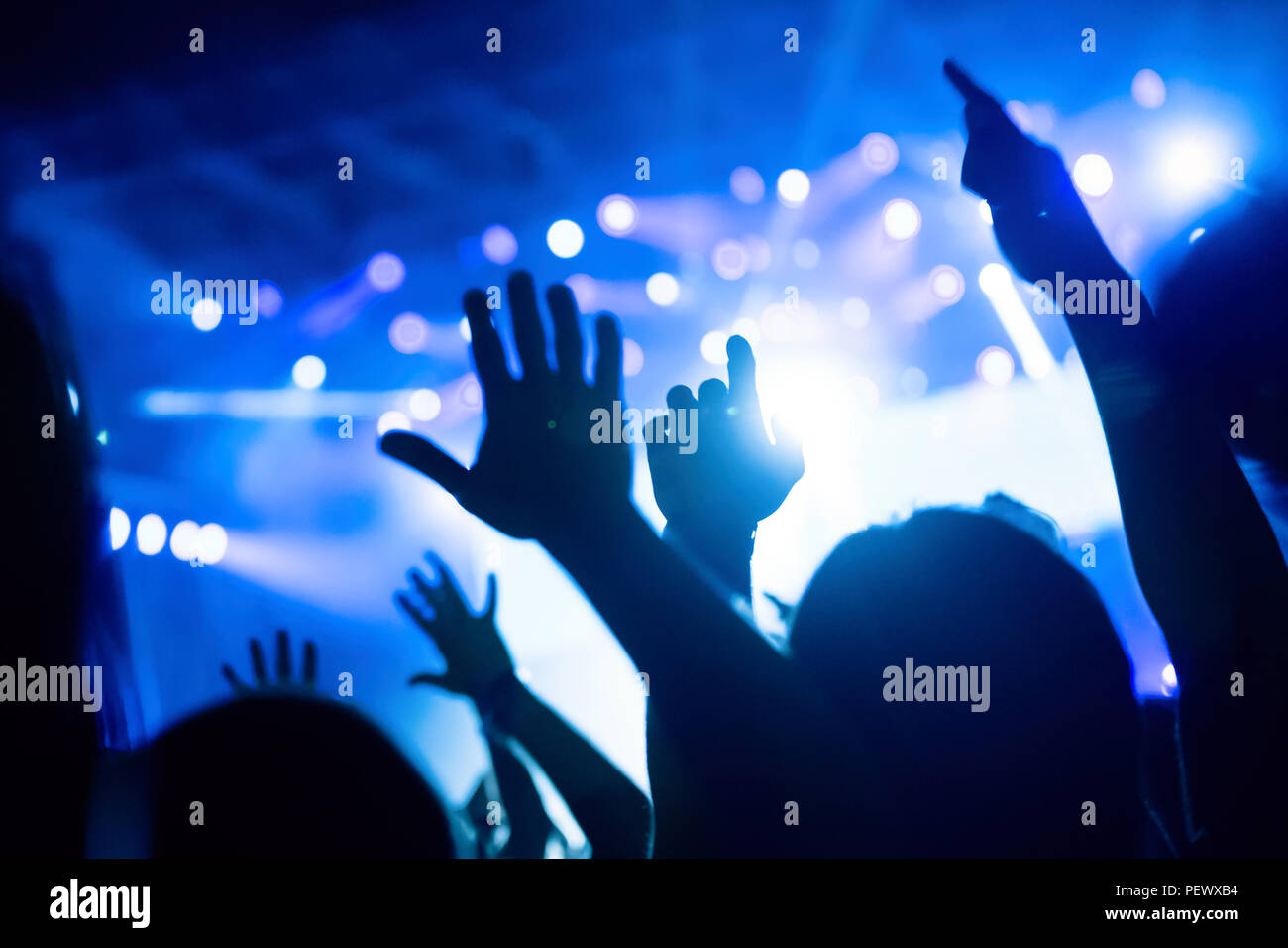 Picture of party people at music festival Stock Photo - Alamy