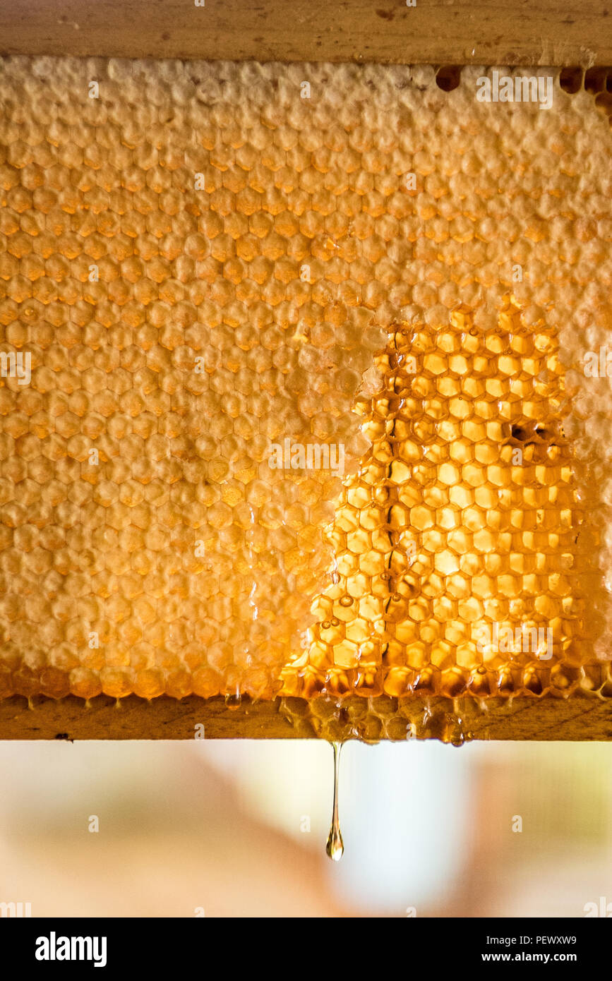 Cappings hi-res stock photography and images - Alamy