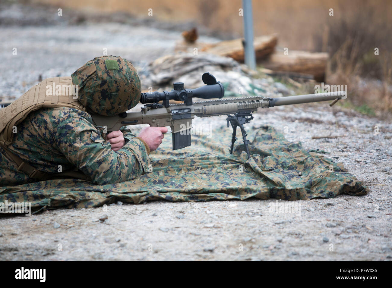 Explosive ordnance disposal technician Marines with Combat Logistics ...