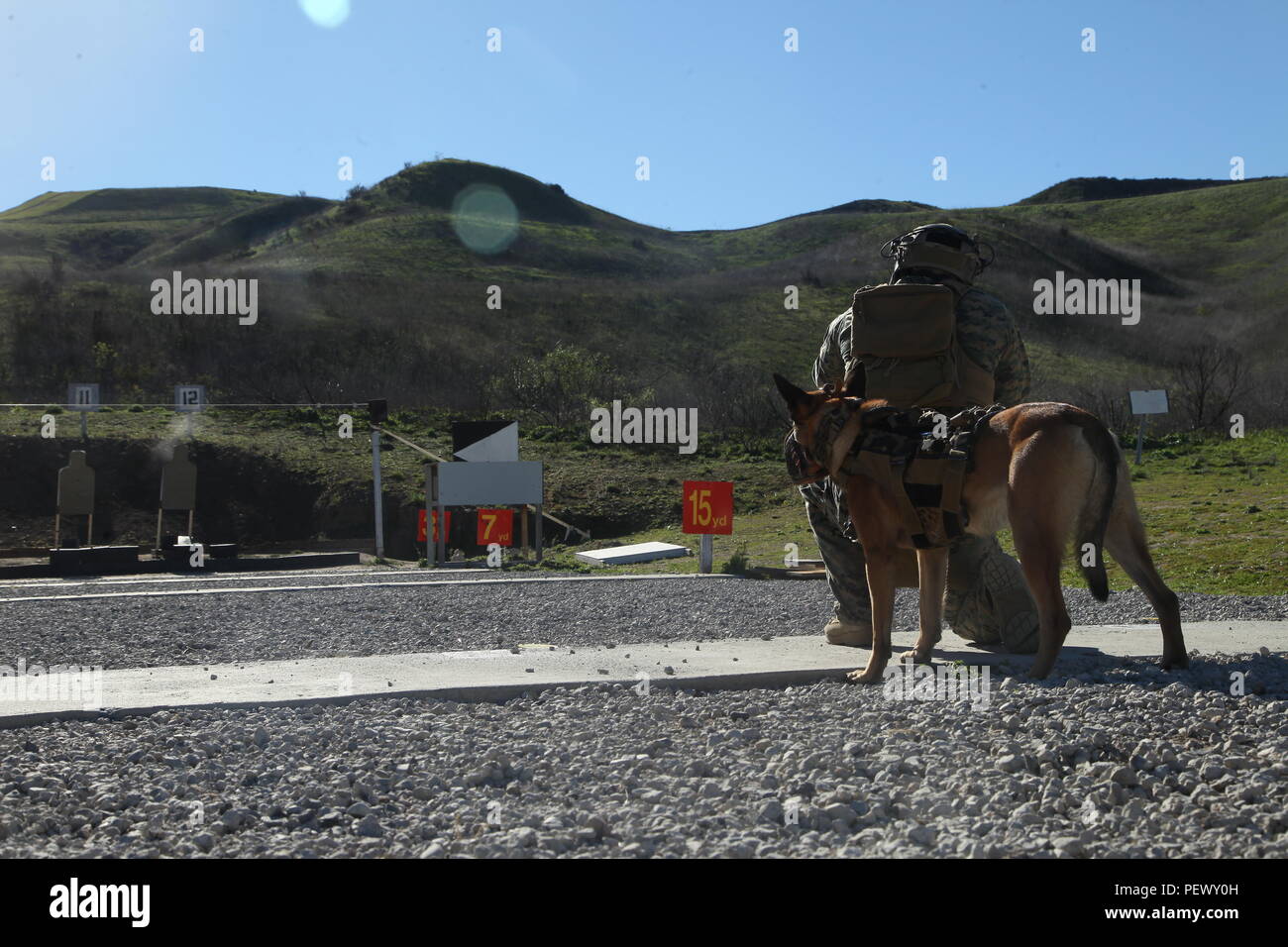 A U.S. Marine multipurpose canine handler, with the United States ...