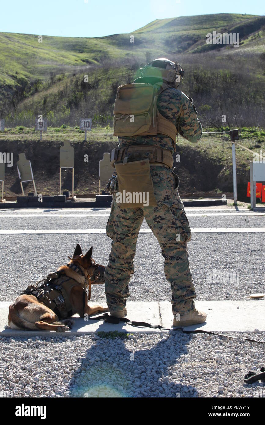 A U.S. Marine multipurpose canine handler, with the United States ...