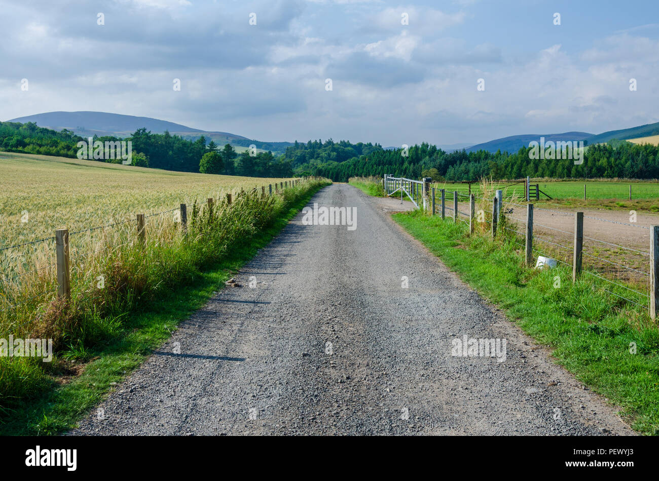 Forfar scotland hi-res stock photography and images - Alamy