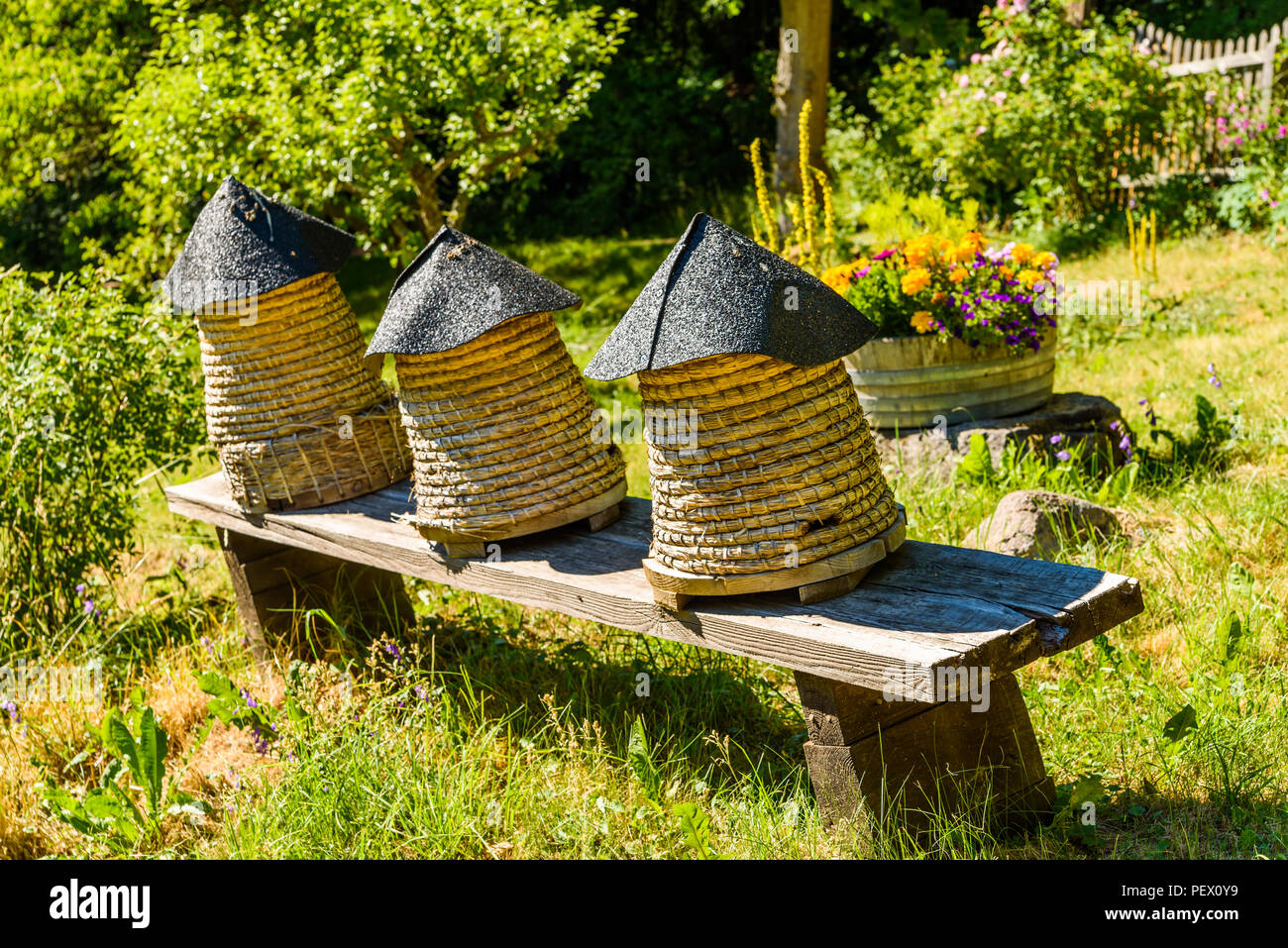 Three small beehives and a flowerpot with colorful flowers. The garden ...