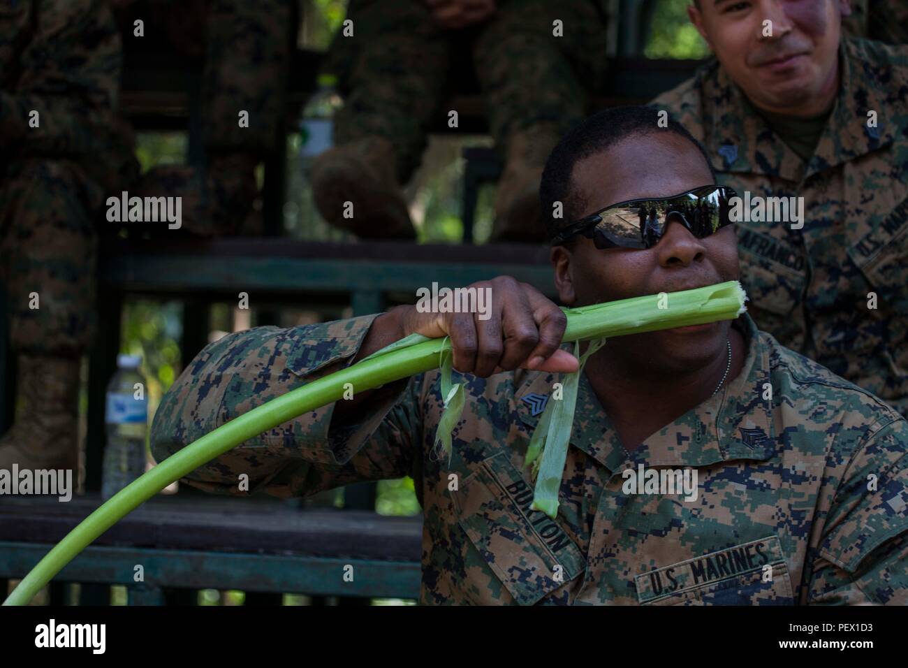 Royal marines operations in jungle hi-res stock photography and images ...