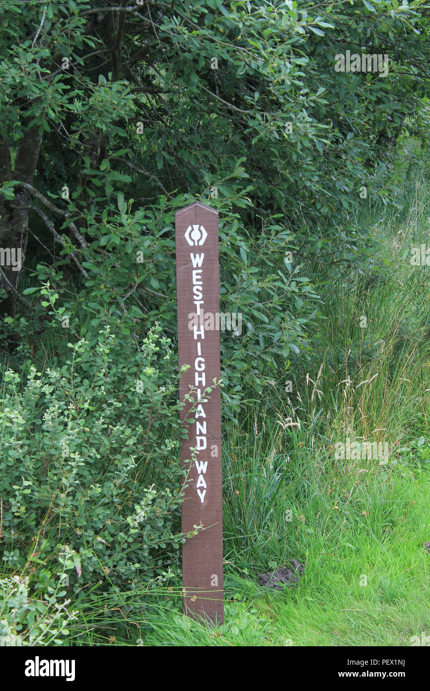 West Highland Way Sign High Resolution Stock Photography and Images - Alamy
