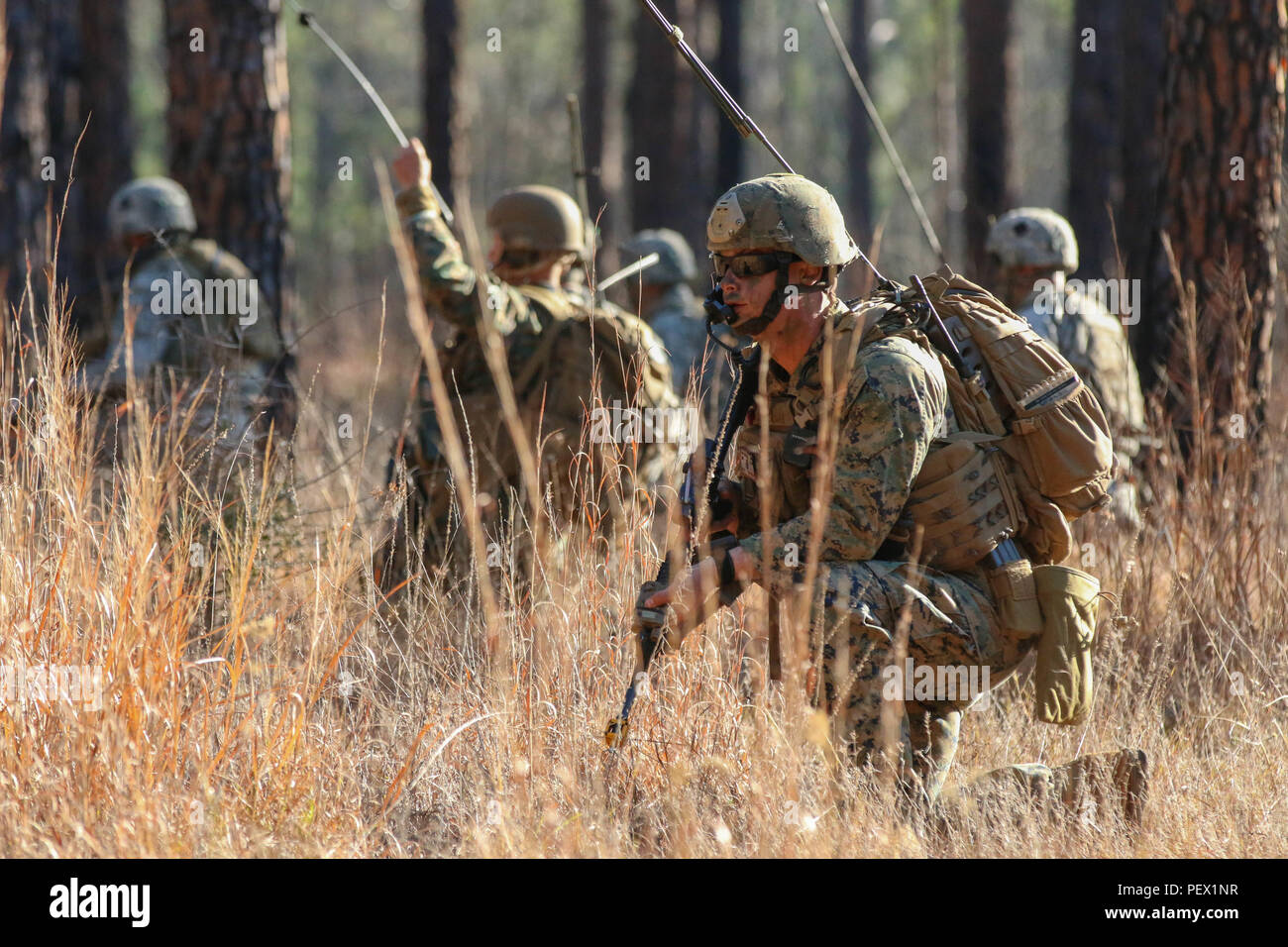 Noise discipline hi-res stock photography and images - Alamy