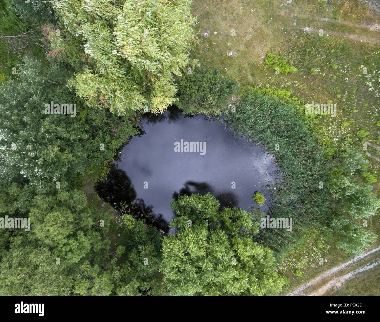 lake, water basin, view from the height Stock Photo - Alamy