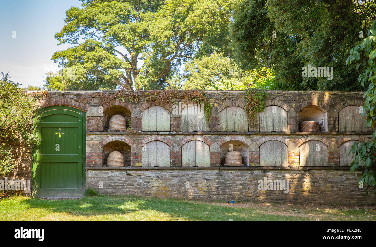 The lost gardens of heligan bug hi-res stock photography and images - Alamy