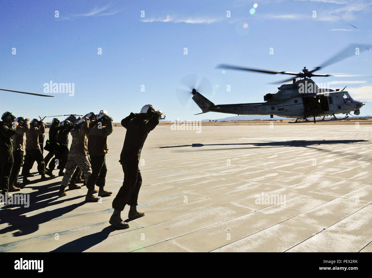 Hmla 369 Gunfighters With Yosemite Sam Emblem