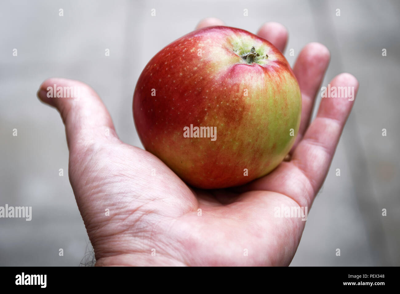Give offer hi-res stock photography and images - Alamy