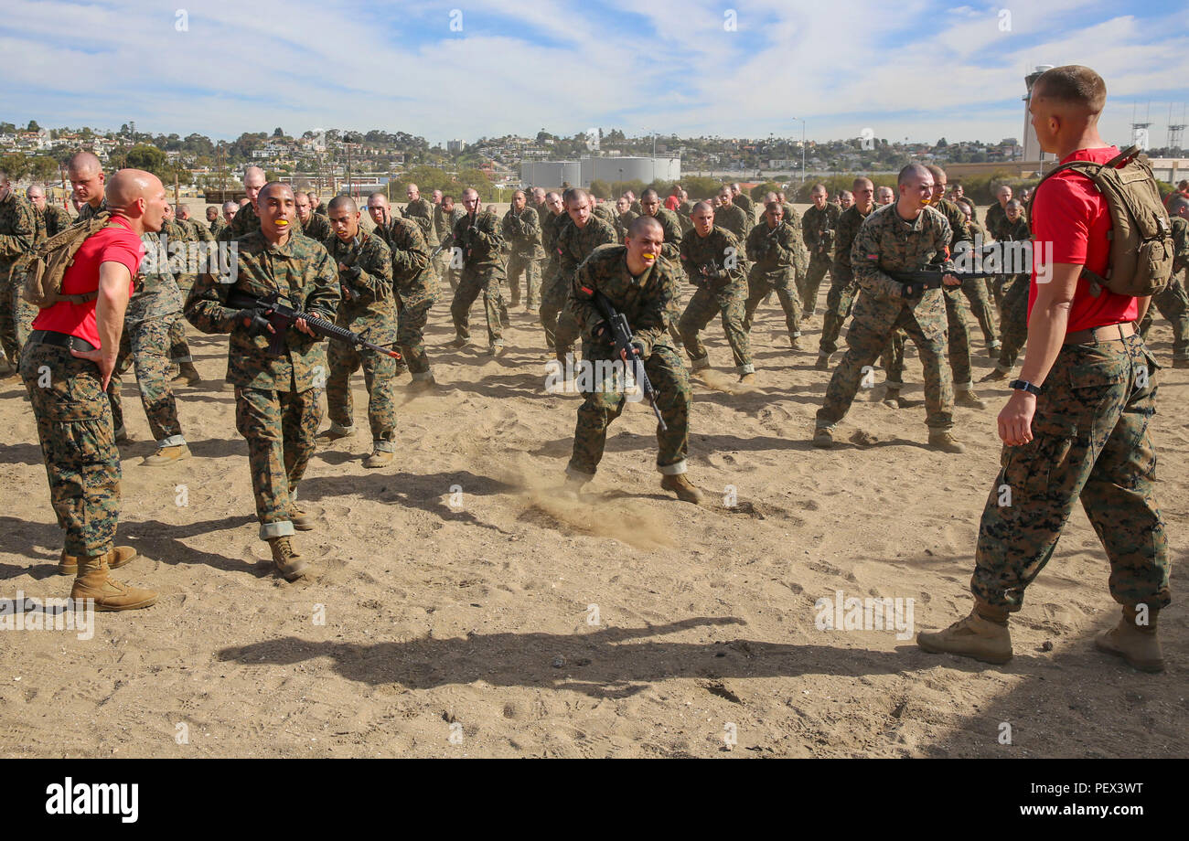 Vertical slash hi-res stock photography and images - Alamy