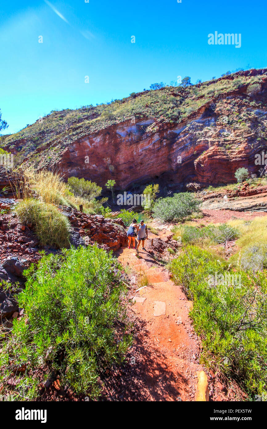 Trees of the australian outback hi-res stock photography and images - Alamy